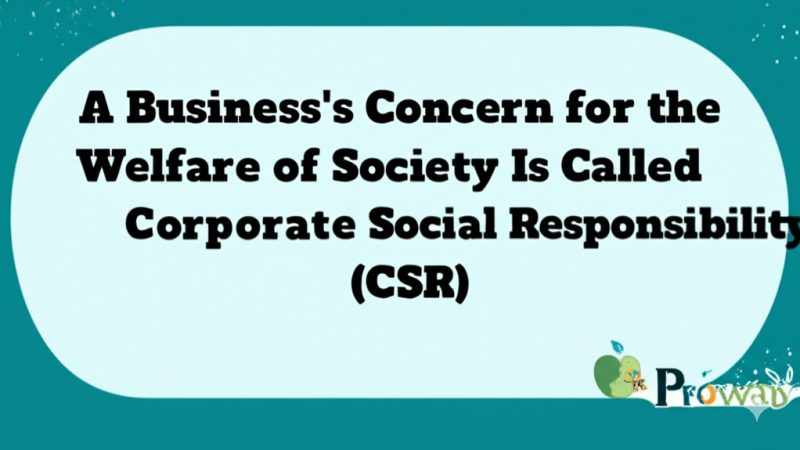 A Business's Concern for the Welfare of Society Is Called Corporate ...